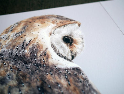 Pair of Barn Owls Mates for Life Prints– Lucy Coggle