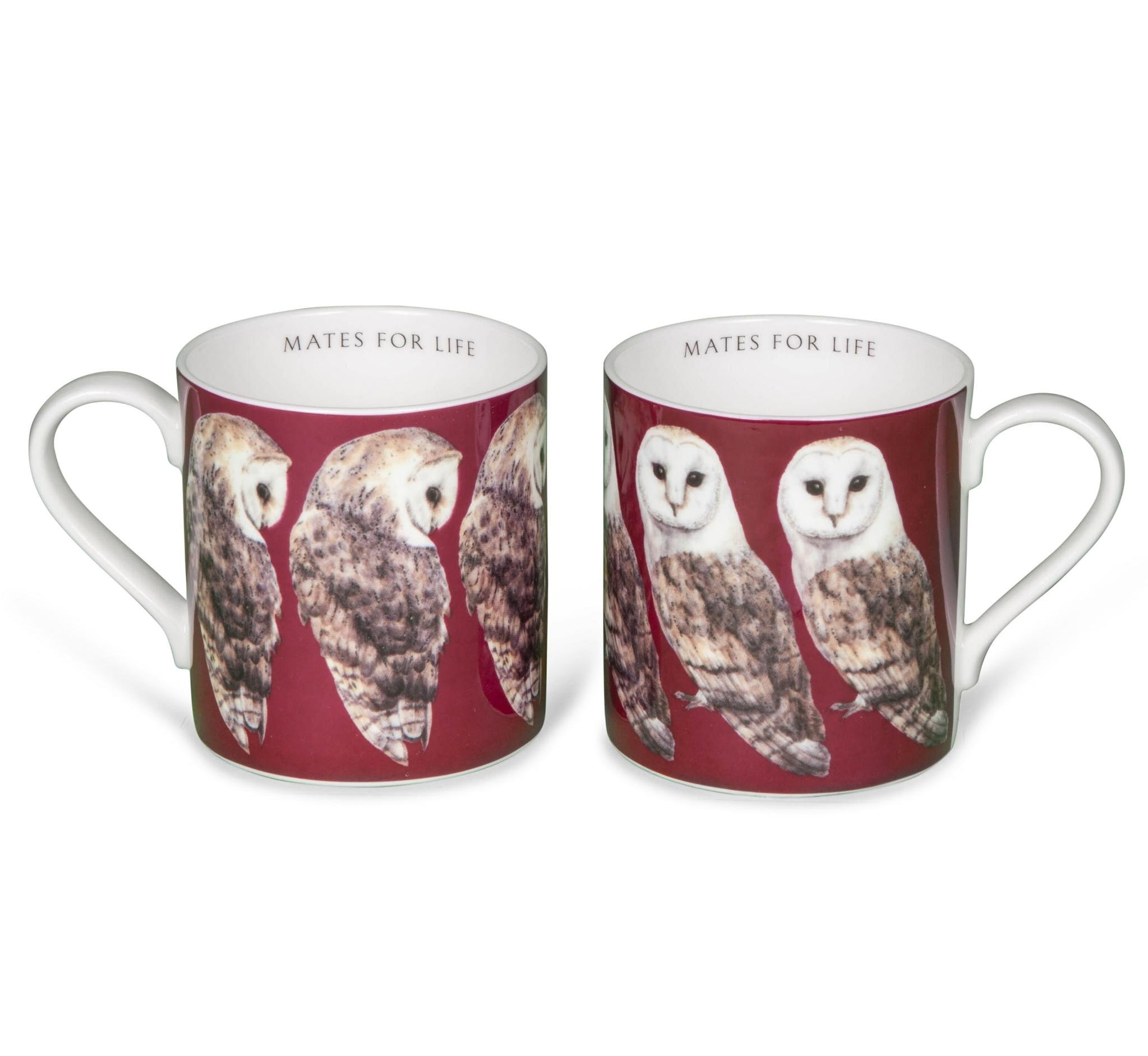Pair of Bone China Barn Owl Mugs– Lucy Coggle