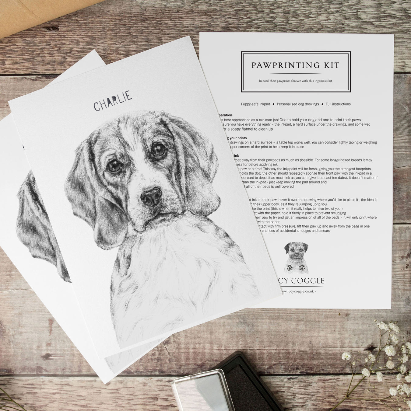 Dog paw print keepsake kits– Lucy Coggle